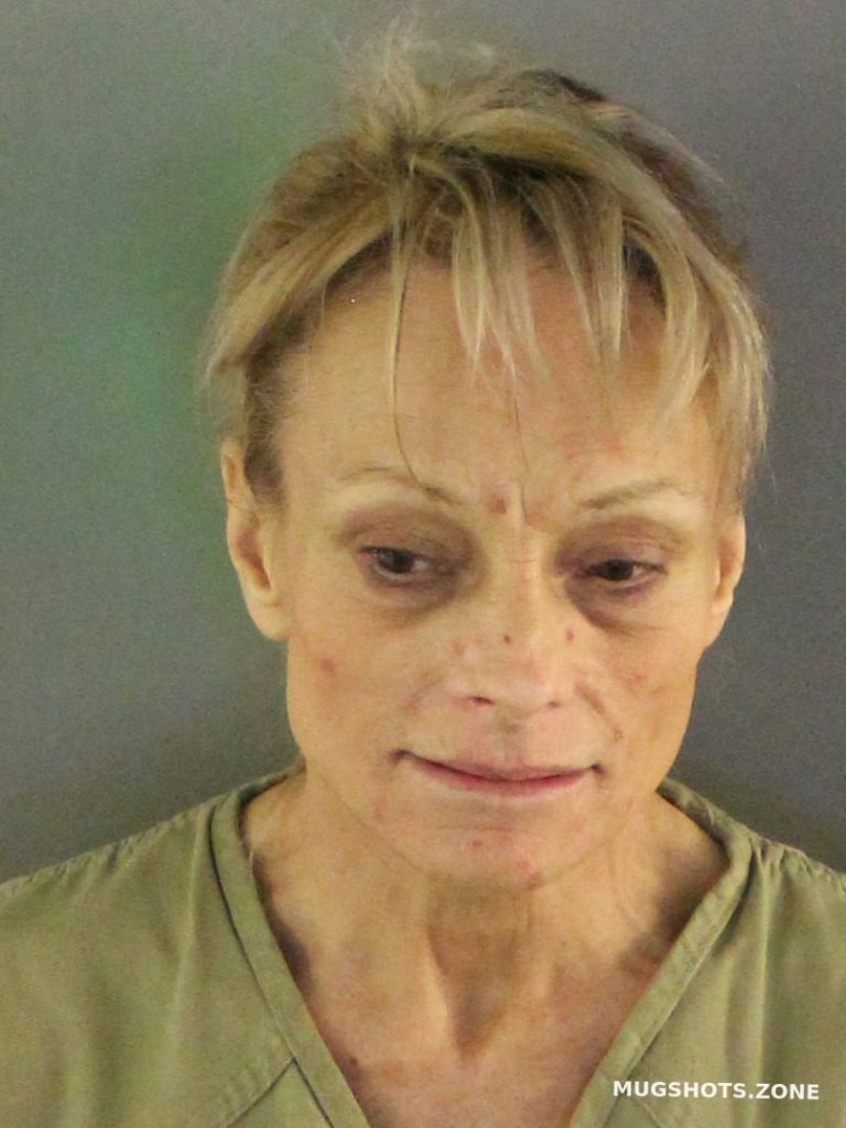 VERZANI BRENDA MAY 02/01/2024 - Charlotte County Mugshots Zone