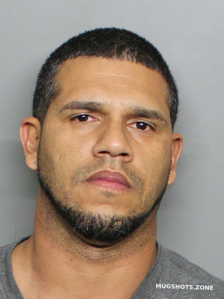 NEGRON ARIEL 02/11/2024 - Charlotte County Mugshots Zone