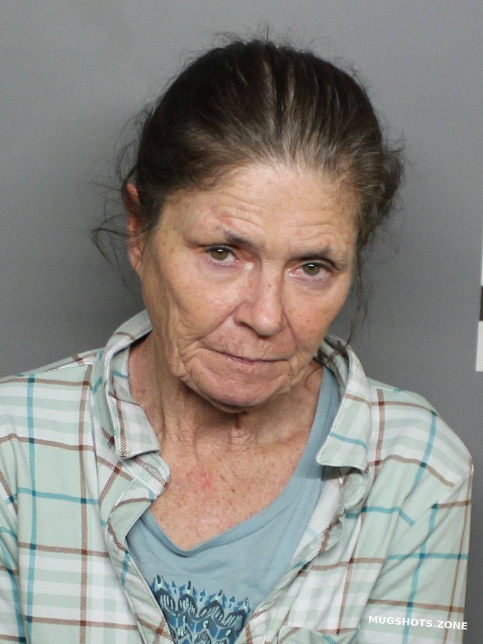 SULLIVAN KATHLEEN ANN 02/28/2024 - Charlotte County Mugshots Zone