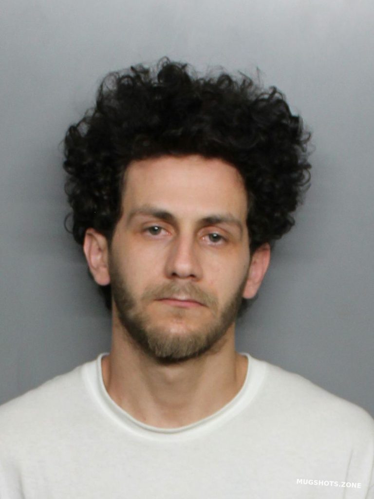 WILLETTE CODY ALEXANDER 02/29/2024 - Charlotte County Mugshots Zone