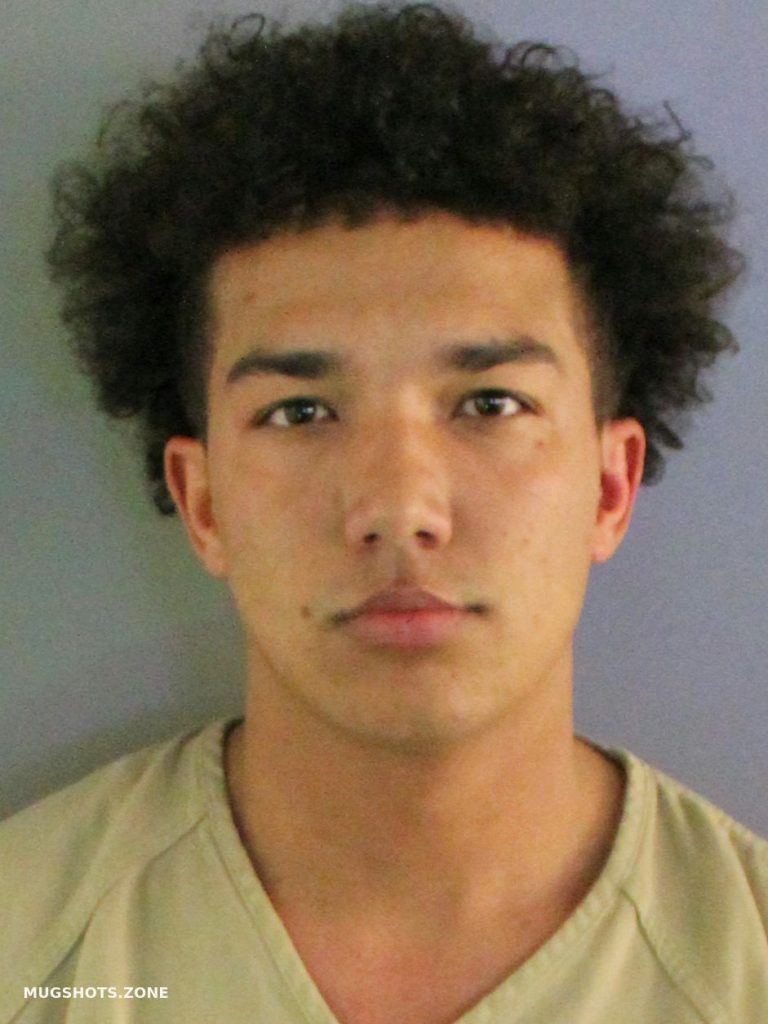 BOLT SEBASTIAN CAMERON 03/12/2024 - Charlotte County Mugshots Zone