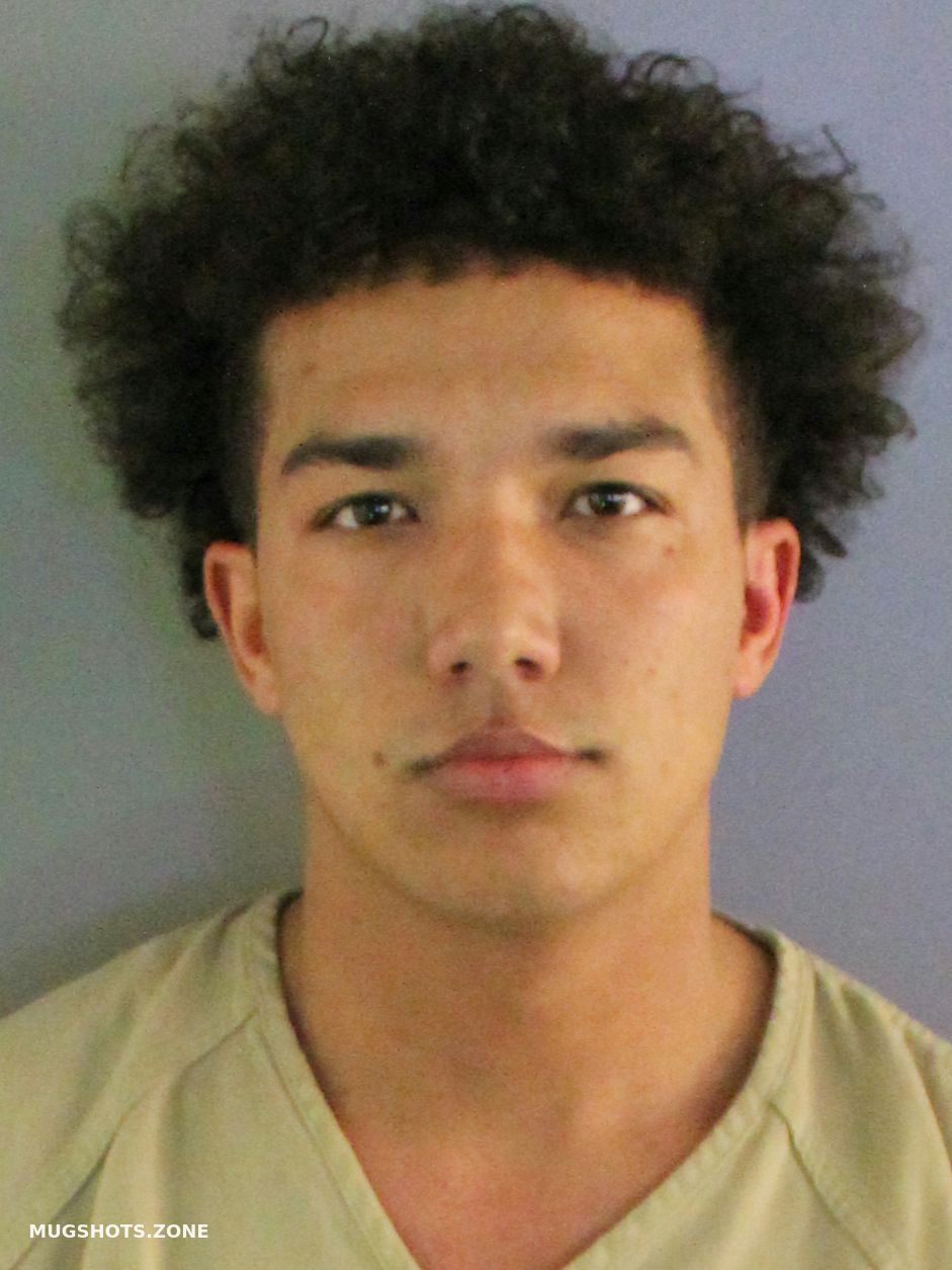 BOLT SEBASTIAN CAMERON 03/12/2024 - Charlotte County Mugshots Zone