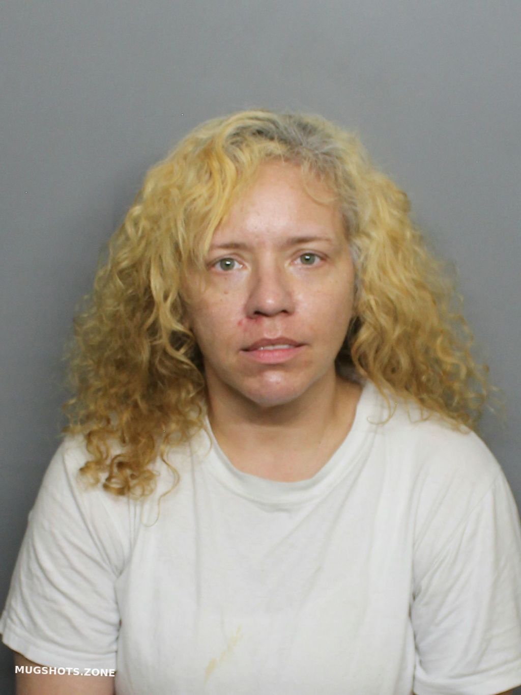 STRINGER MICHELLE ELIZABETH 03/13/2024 - Charlotte County Mugshots Zone