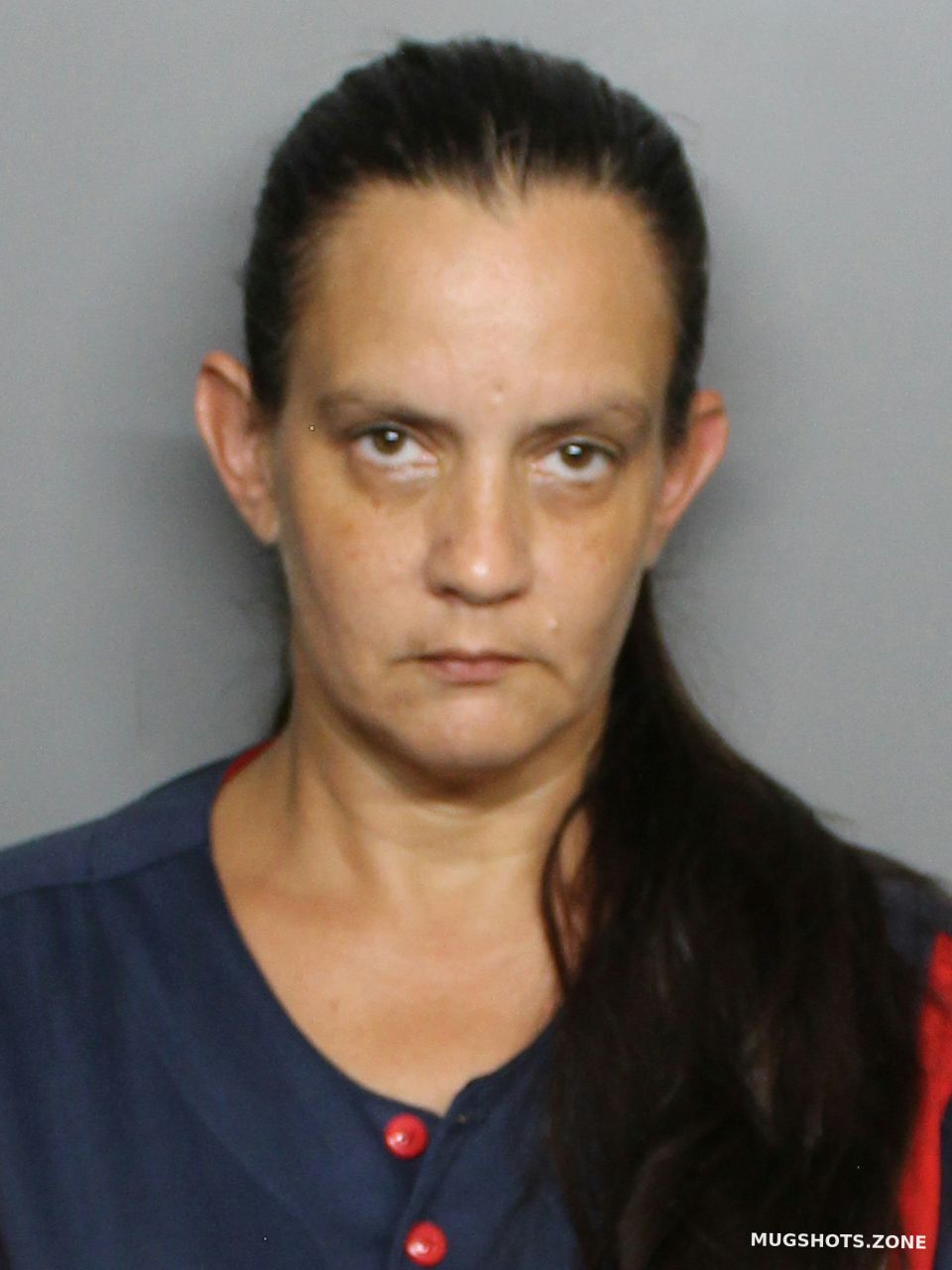 ALBANESE SHANNON MARIE 03/14/2024 - Charlotte County Mugshots Zone