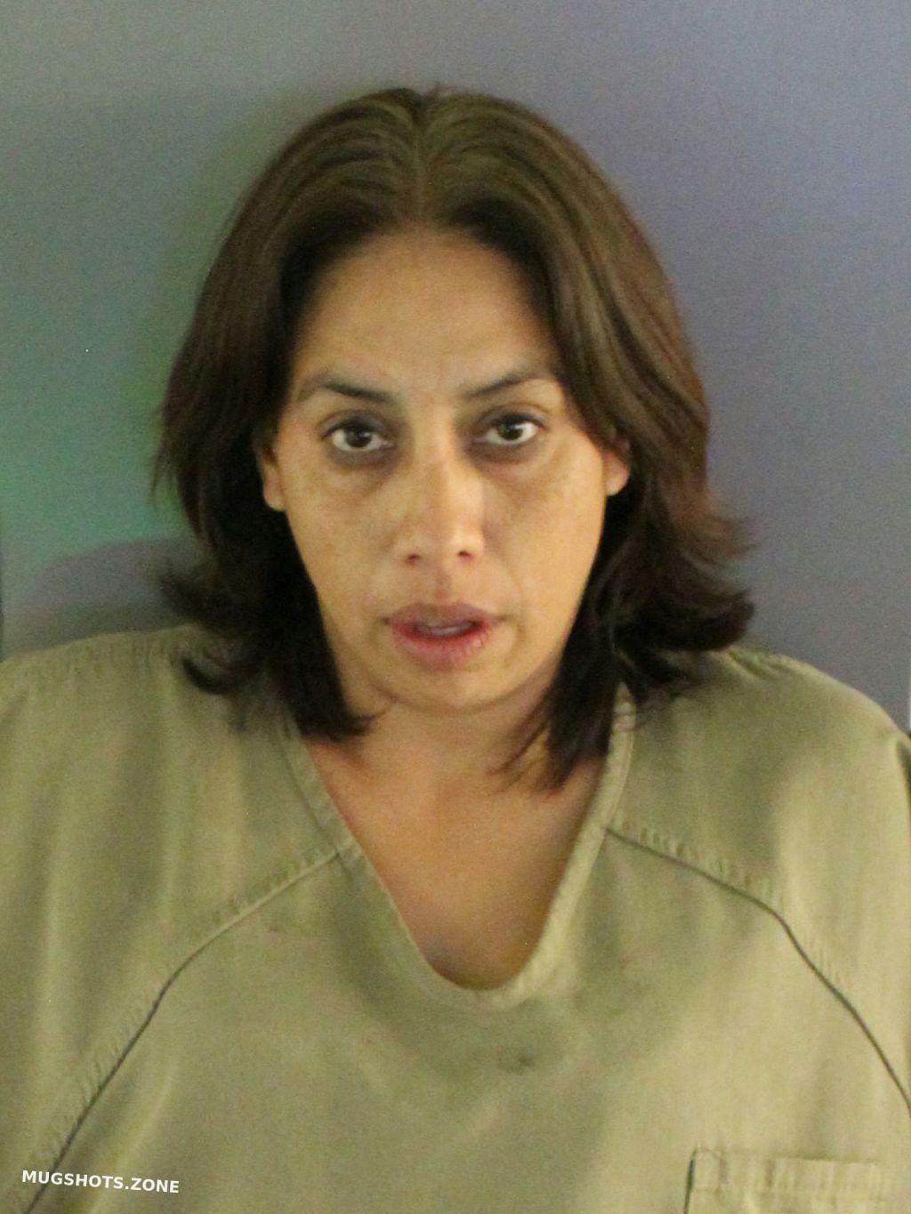 ALONZO ALEXIS ANN 03/27/2024 - Charlotte County Mugshots Zone