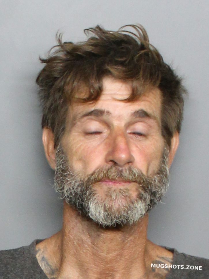 POE JAMIE LEE 04/03/2024 - Charlotte County Mugshots Zone