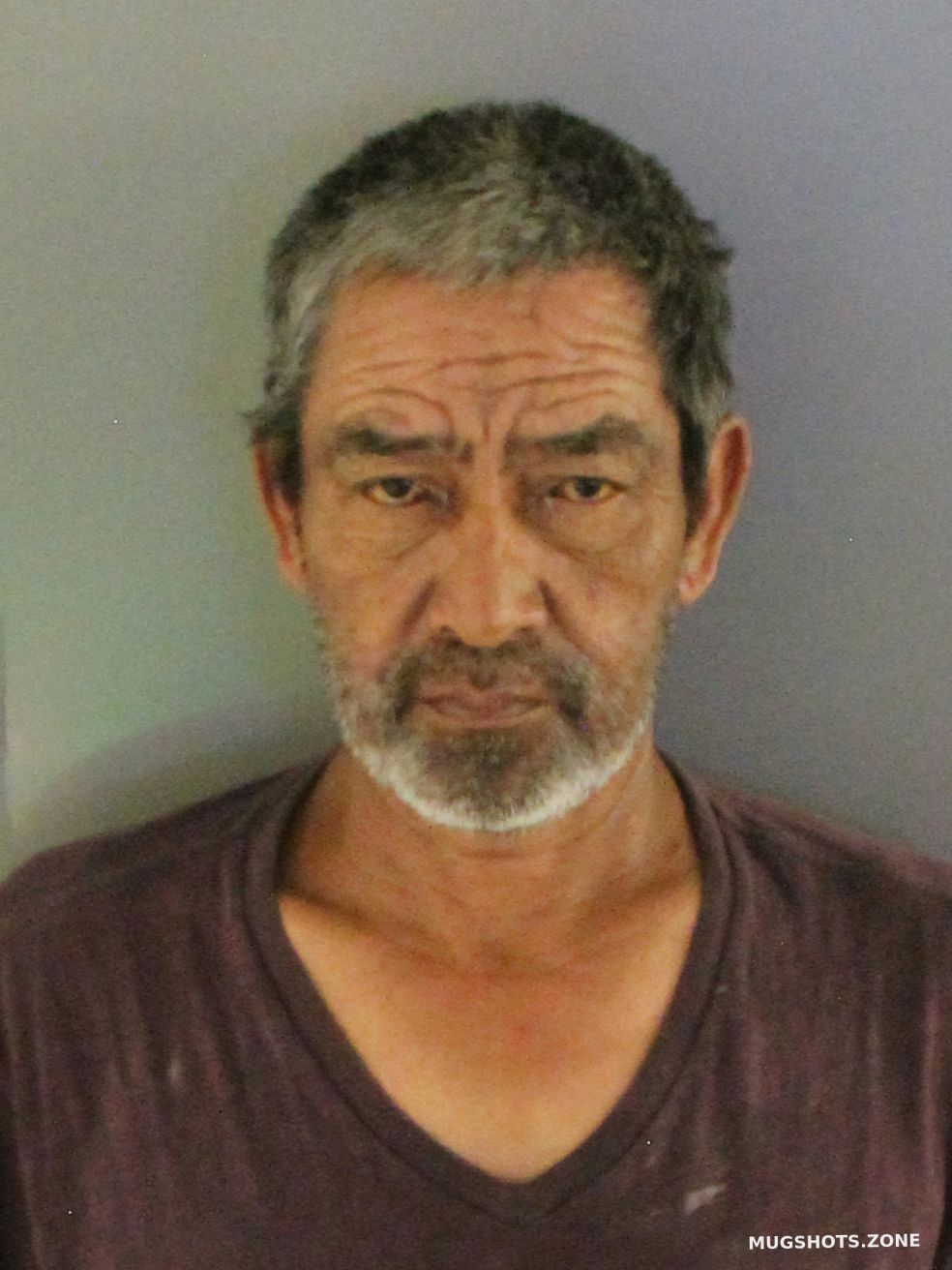 LARA FELIX 05/19/2024 - Charlotte County Mugshots Zone