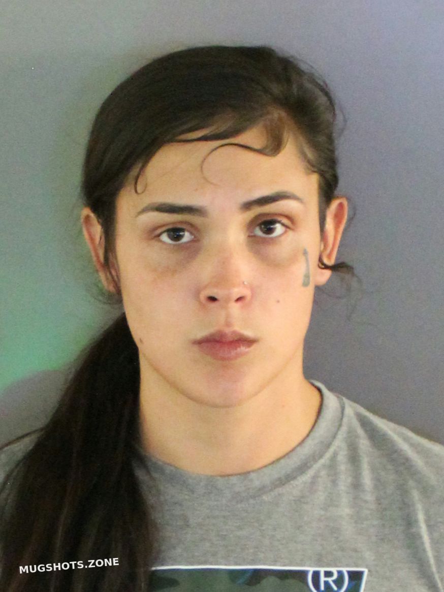 SAMPLES VANESSA MARIE 06/13/2024 - Charlotte County Mugshots Zone