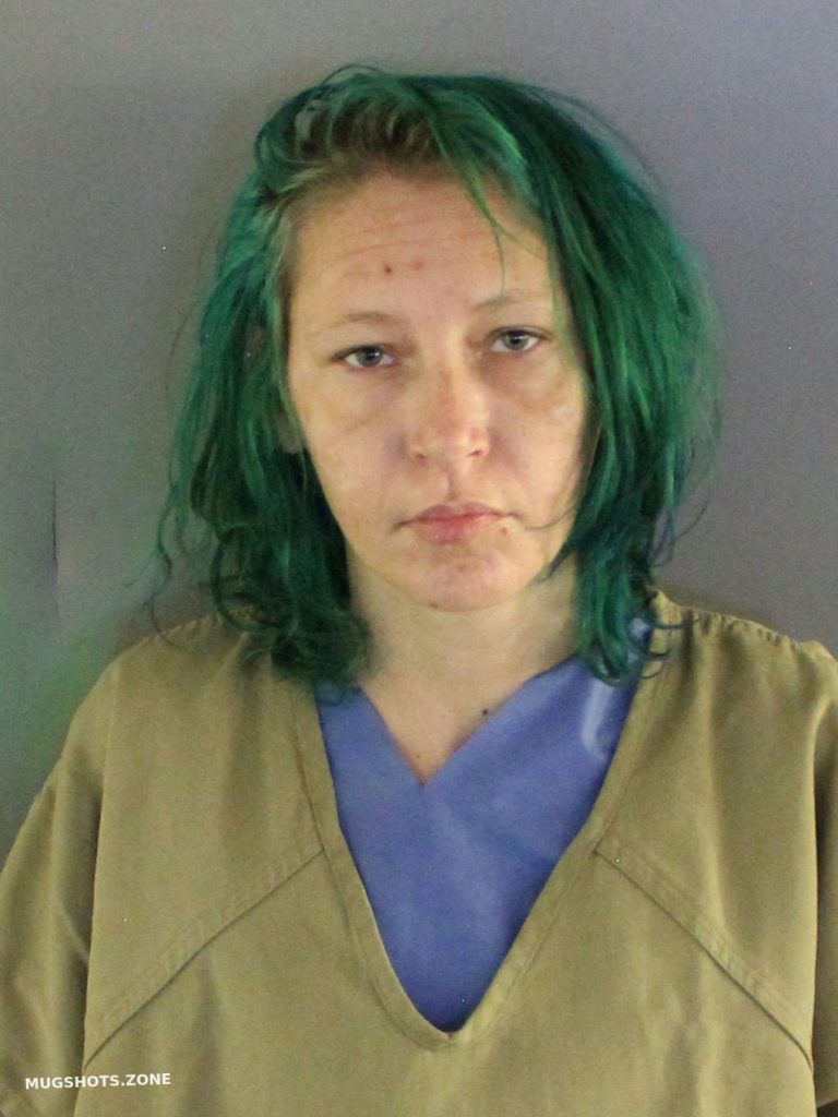 HRZENAK SHARLA RENEE 07/08/2024 - Charlotte County Mugshots Zone