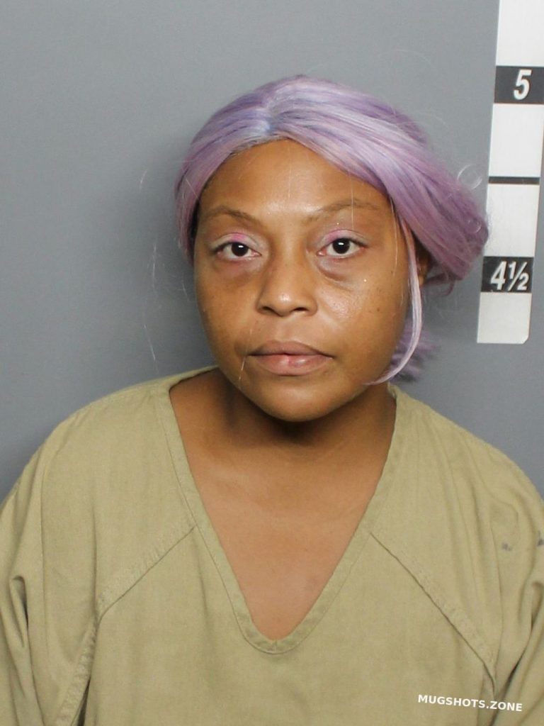 MCDANIEL LAKEISHA RENEE 07/22/2024 - Charlotte County Mugshots Zone