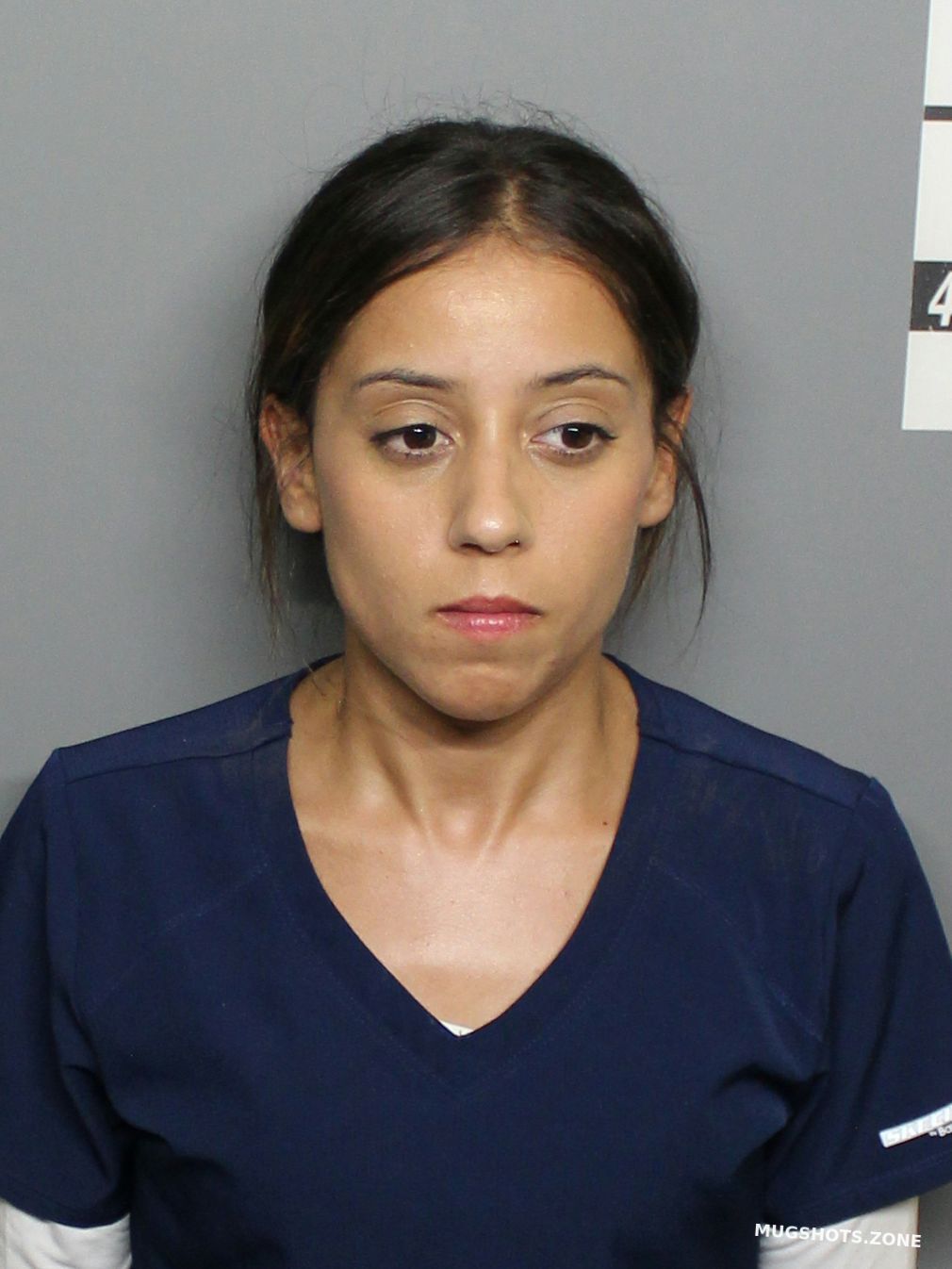 WILLIAMS JESSICA CASSANDRA 08/06/2024 - Charlotte County Mugshots Zone