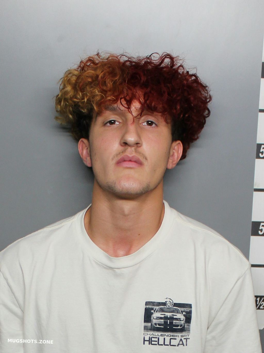 DRAKE AUSTIN N 08/06/2024 - Charlotte County Mugshots Zone