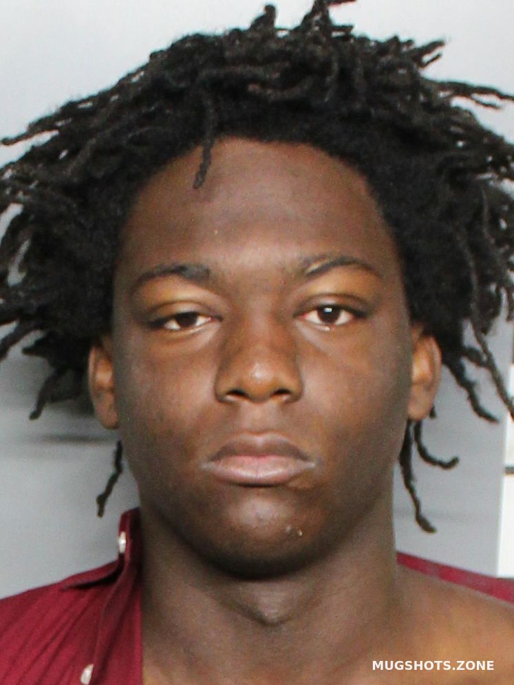 PAGE TEDRICK 09/24/2024 - Charlotte County Mugshots Zone