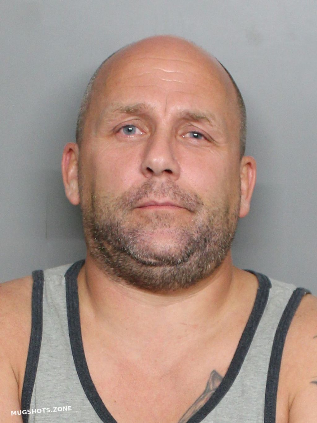 DEZAINE JOSHUA DOUGLAS 10/17/2024 - Charlotte County Mugshots Zone