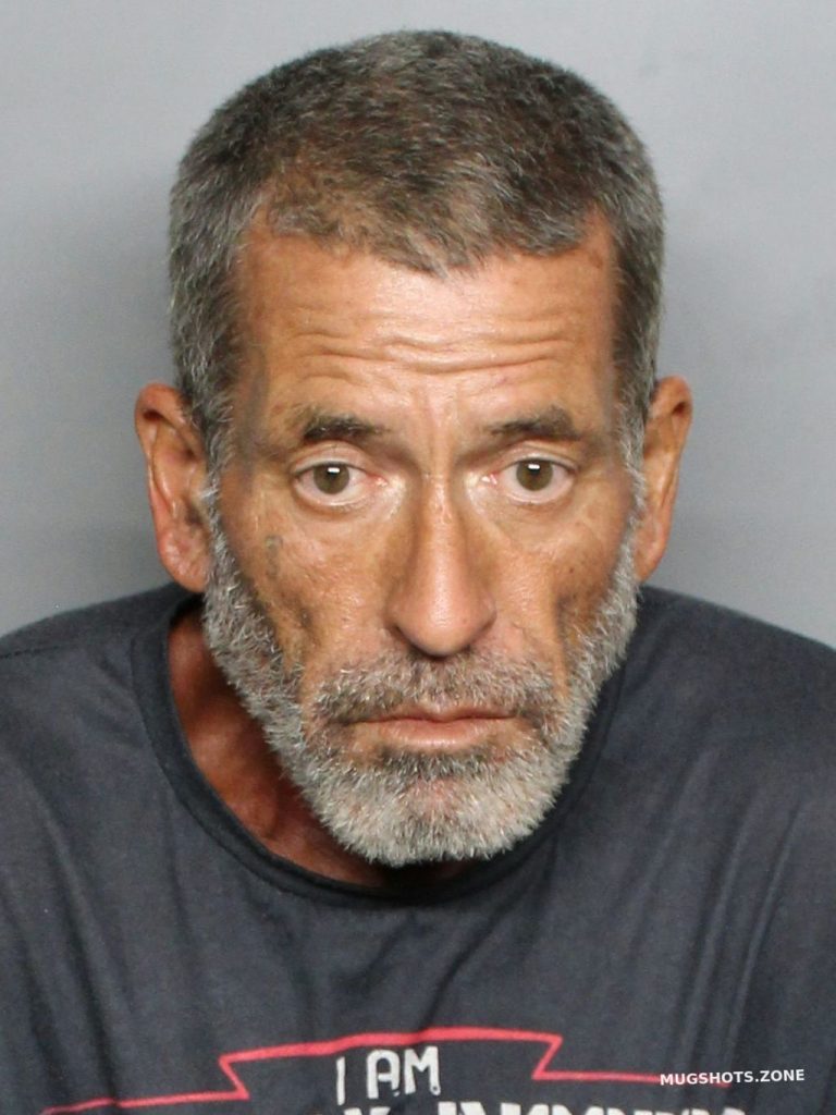 SAYLOR NELSON JOSEPH 10/17/2024 - Charlotte County Mugshots Zone