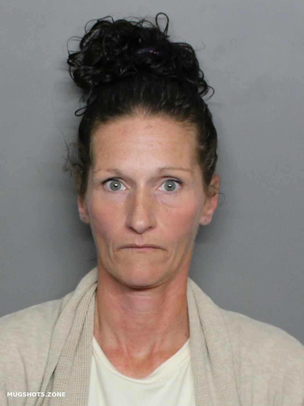 GREGORY ELIZABETH REED 10/23/2024 - Charlotte County Mugshots Zone