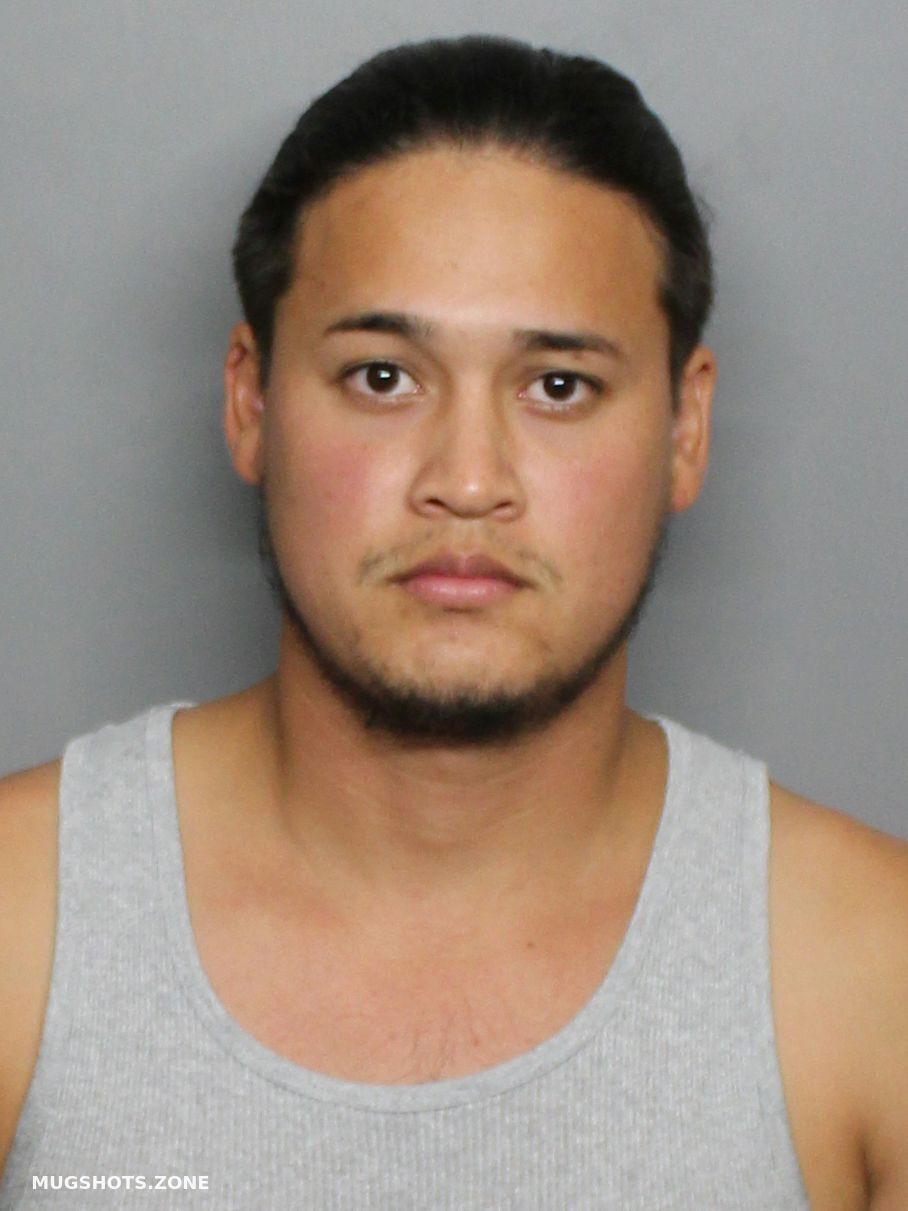 BURGOS BRAYAN ALEXIS 10/30/2024 - Charlotte County Mugshots Zone