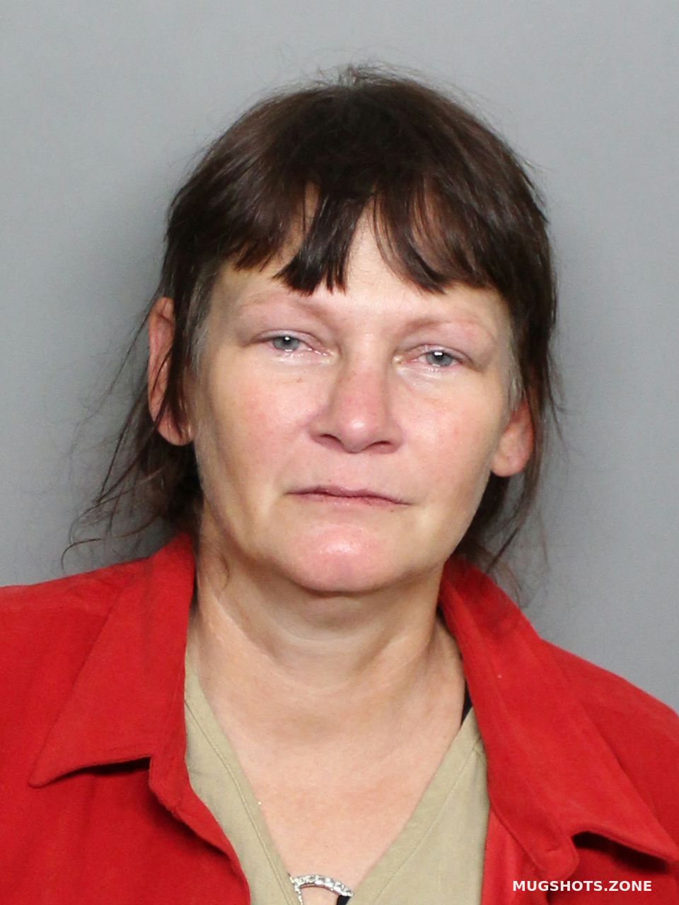 VOWELL AMY MARIE 11/03/2024 - Charlotte County Mugshots Zone