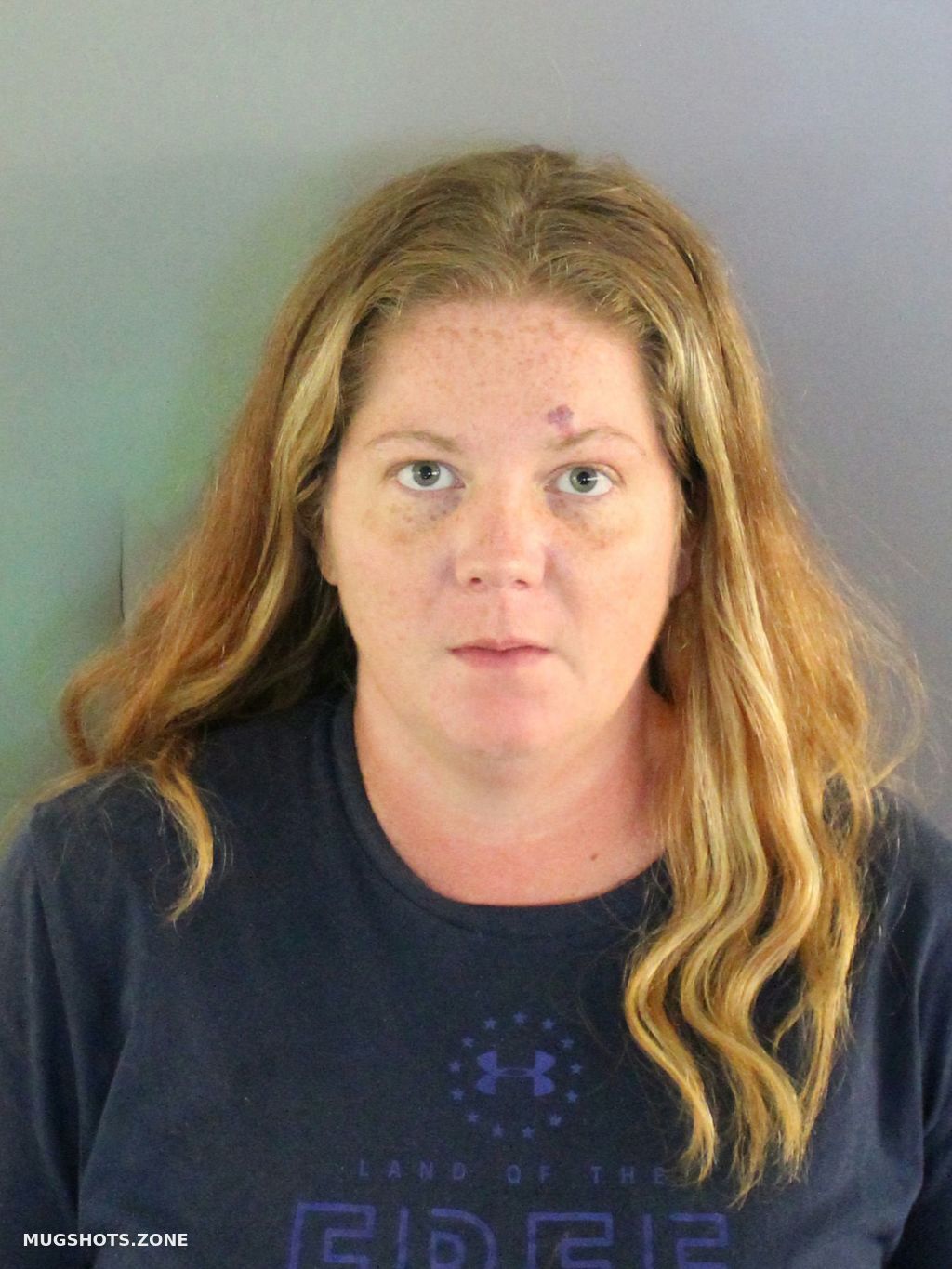 SANDER DANIELLE RAE 11/08/2024 - Charlotte County Mugshots Zone