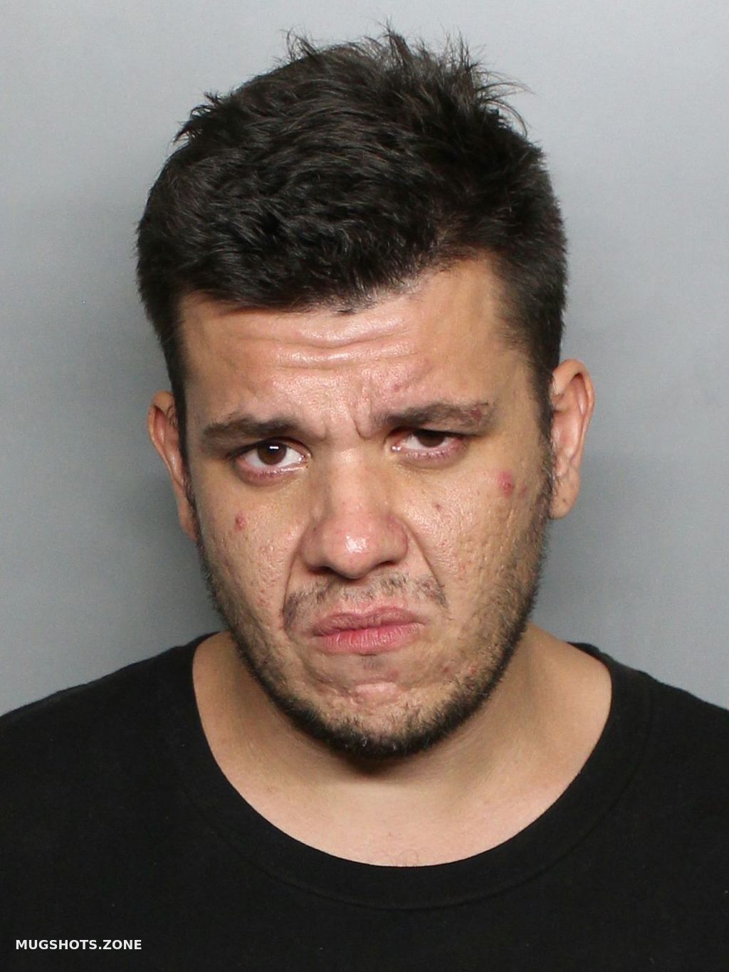 DAVIS SHANE ALLEN 11/11/2024 - Charlotte County Mugshots Zone