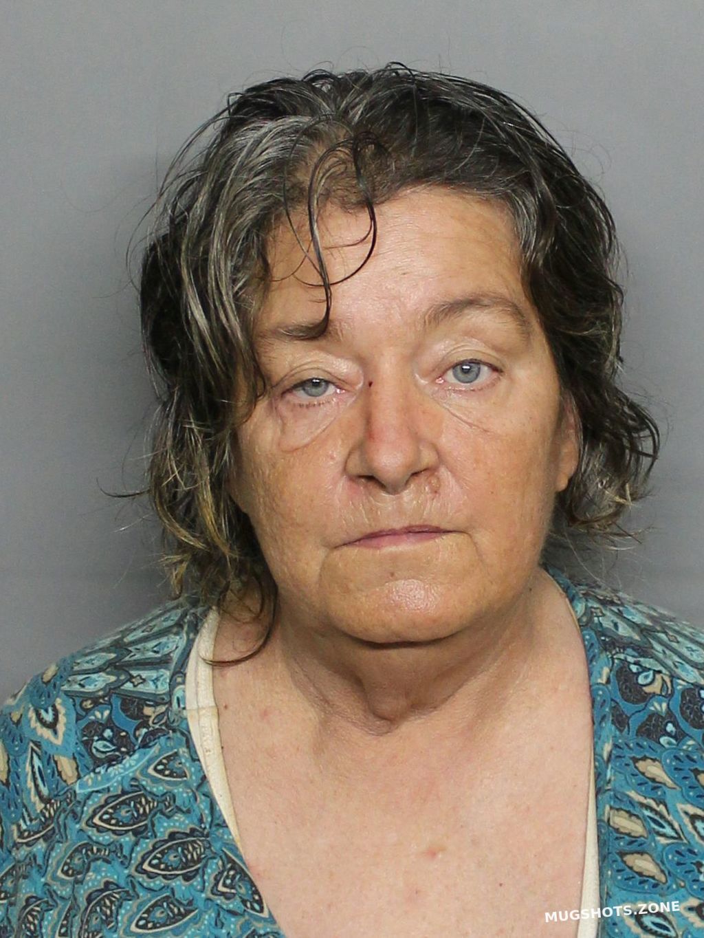 VANSLAMBROUCK VICTORIA M 11/12/2024 - Charlotte County Mugshots Zone