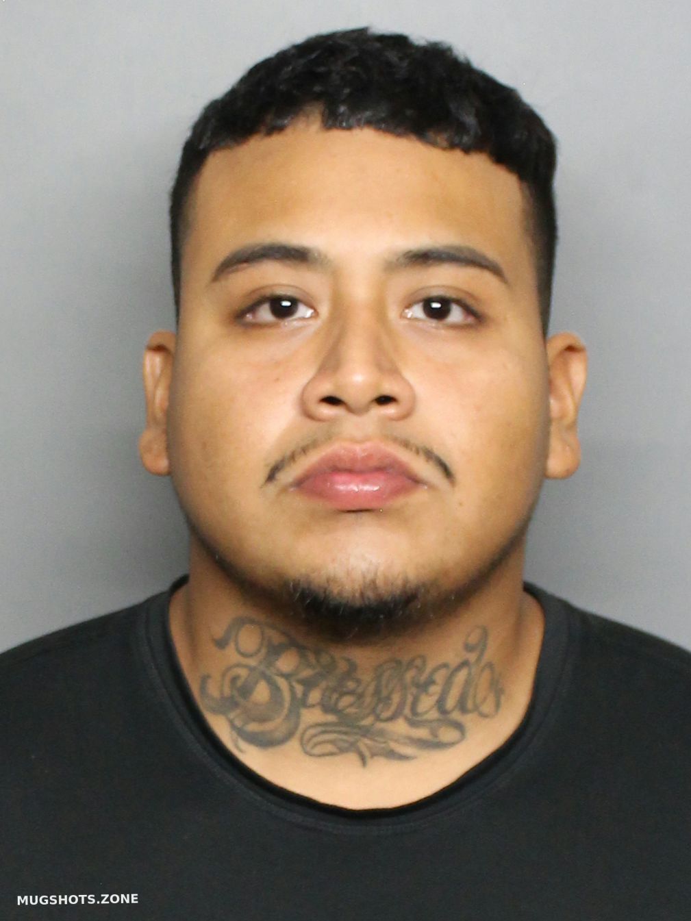 RISSO RIVAS DONNY PAOLO 11/14/2024 - Charlotte County Mugshots Zone