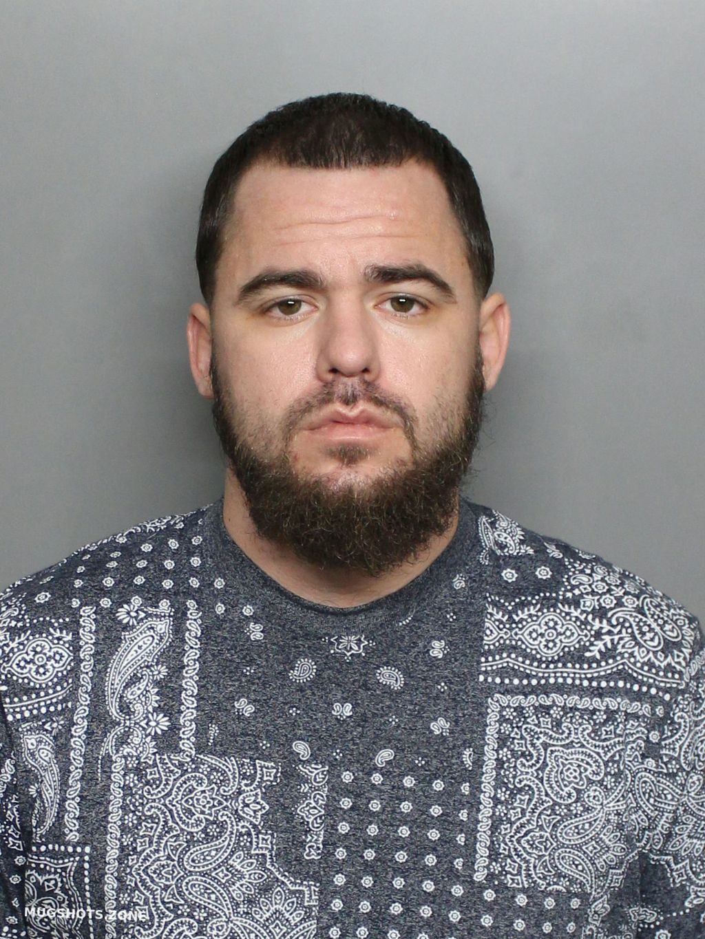 HARTMANSTORFER BRIAN JEROME 11/20/2024 - Charlotte County Mugshots Zone