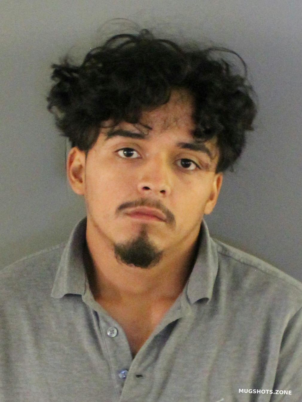 RODRIGUEZ DIEGO 11/25/2024 - Charlotte County Mugshots Zone
