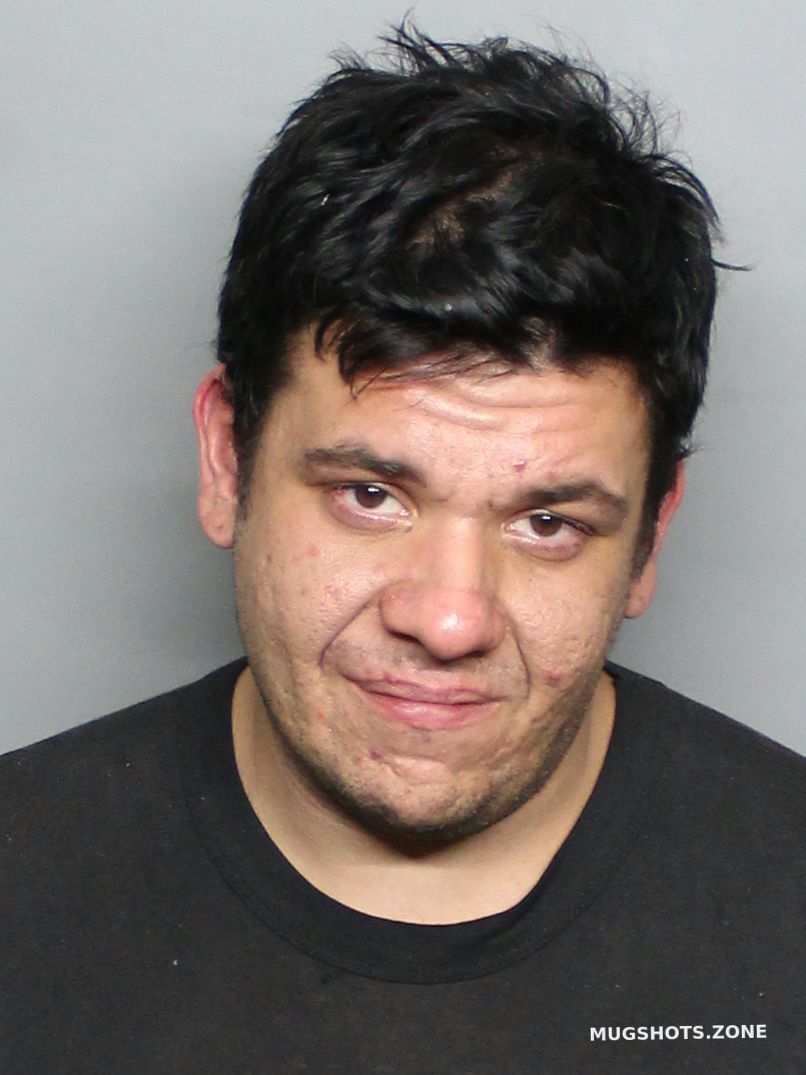 DAVIS SHANE ALLEN 01/04/2025 - Charlotte County Mugshots Zone