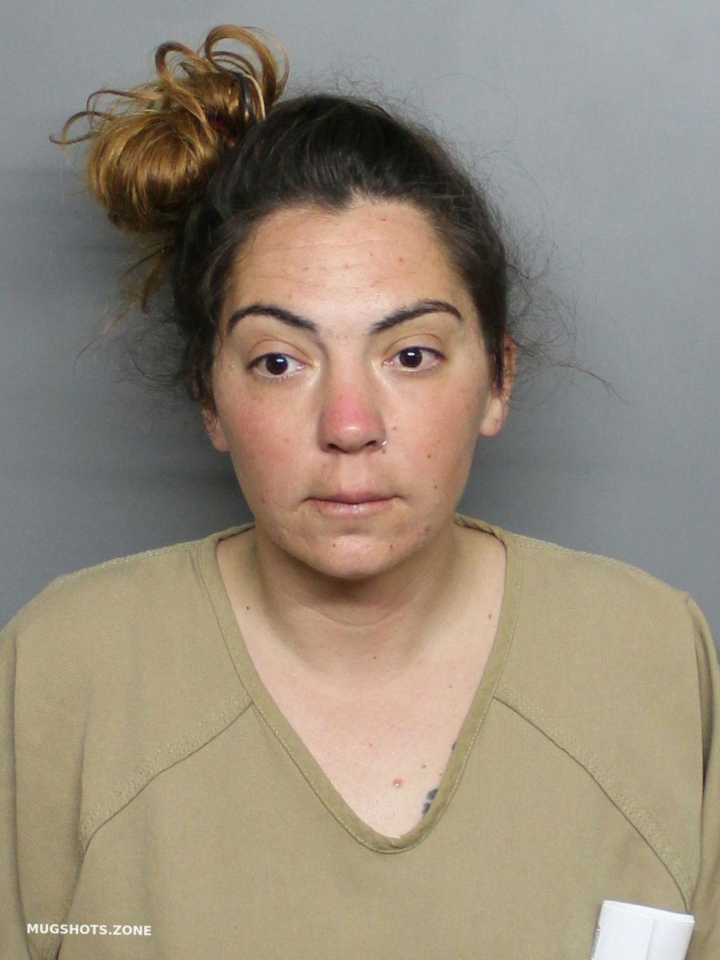 MILLER CARLI ELLEN 01/22/2025 - Charlotte County Mugshots Zone