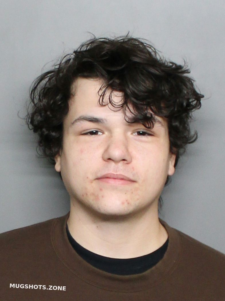 GOMES AIDAN MARCUS 01/30/2025 - Charlotte County Mugshots Zone