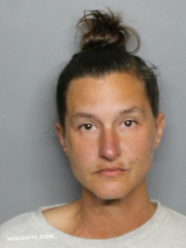 DISHNEAU LINETTE ANNE 01/31/2025 - Charlotte County Mugshots Zone