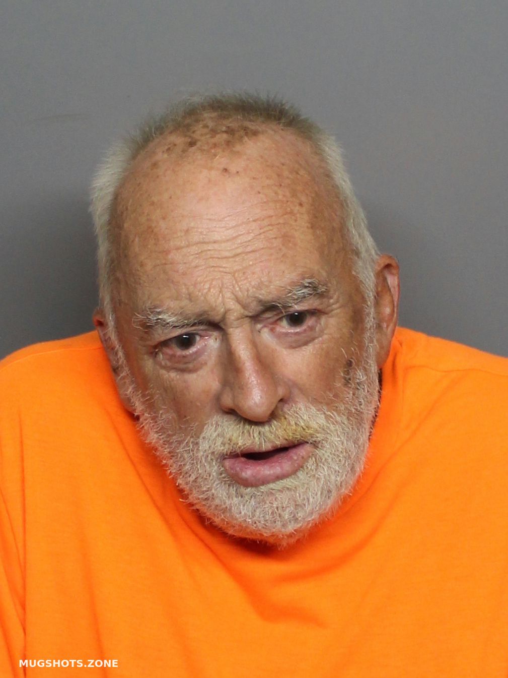 MATHEWSON THOMAS GEORGE EDWARD 02/08/2025 - Charlotte County Mugshots Zone