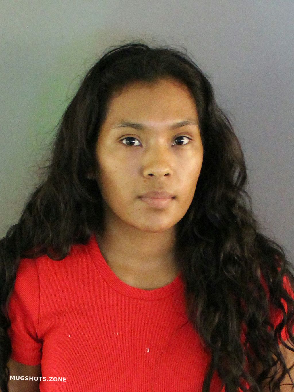 Gonzalez Figueroa Sindy Oneyda 02 15 2025 Charlotte County Mugshots Zone