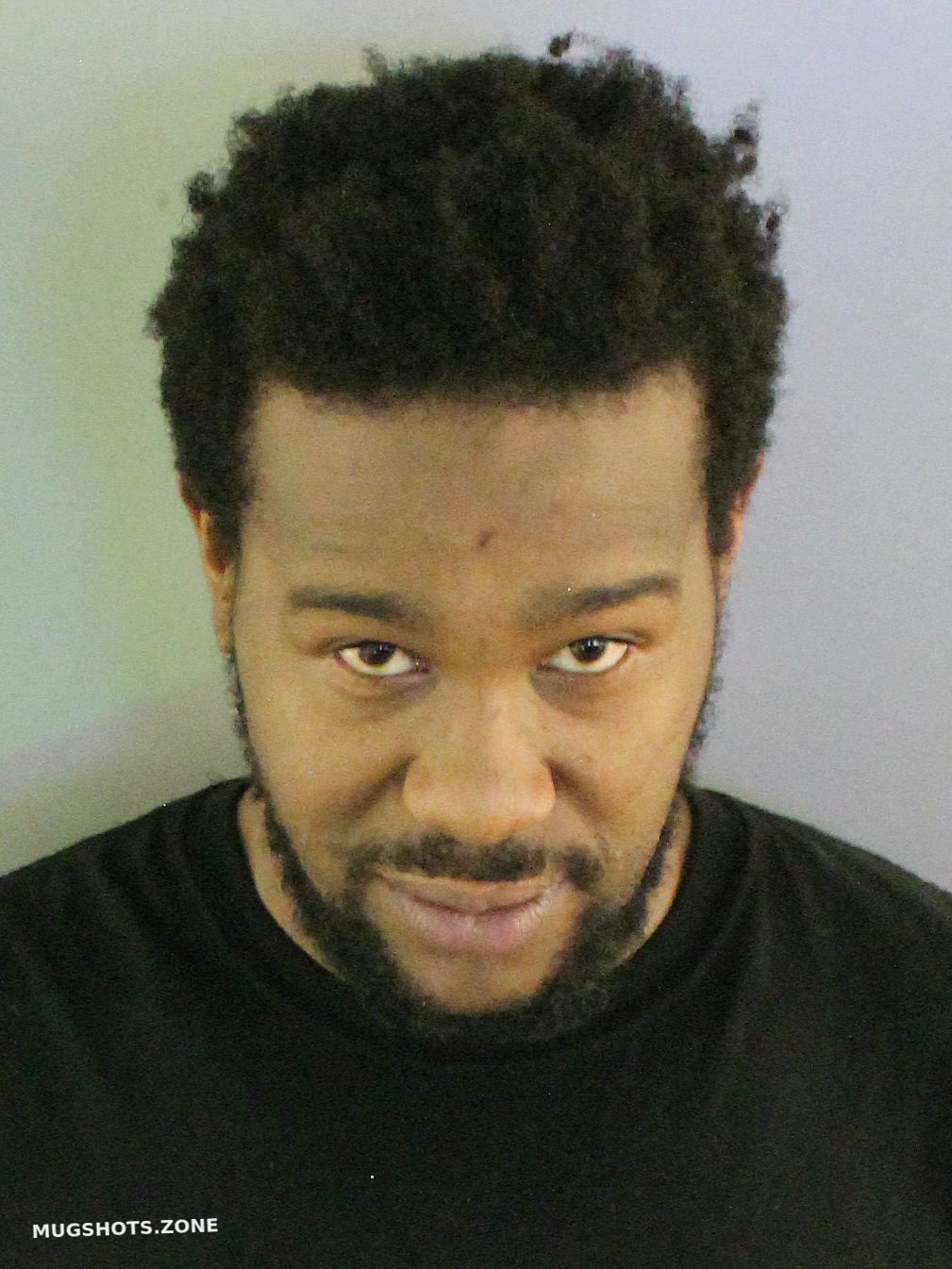 HENRY RANDEL JEROME 02/24/2025 - Charlotte County Mugshots Zone
