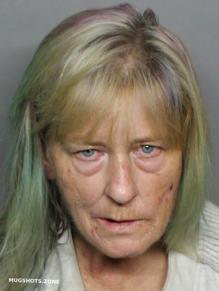 JOHNSON STEPHANIE MARIE 02/28/2025 - Charlotte County Mugshots Zone