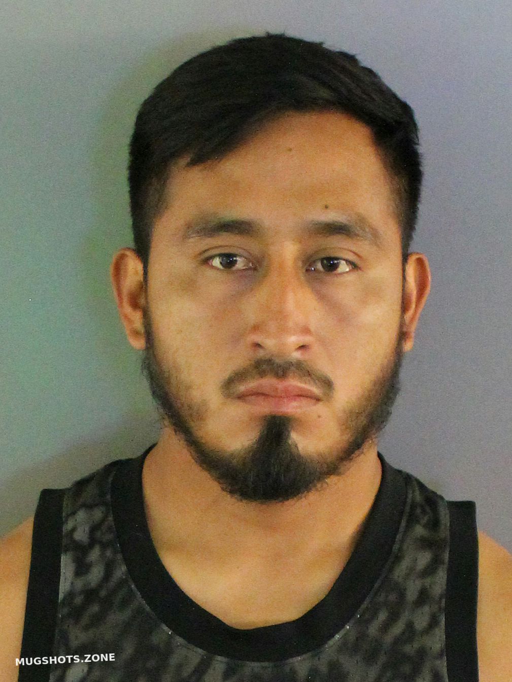 TREJO HERNANDEZ BOLIVAR 03/11/2025 - Charlotte County Mugshots Zone