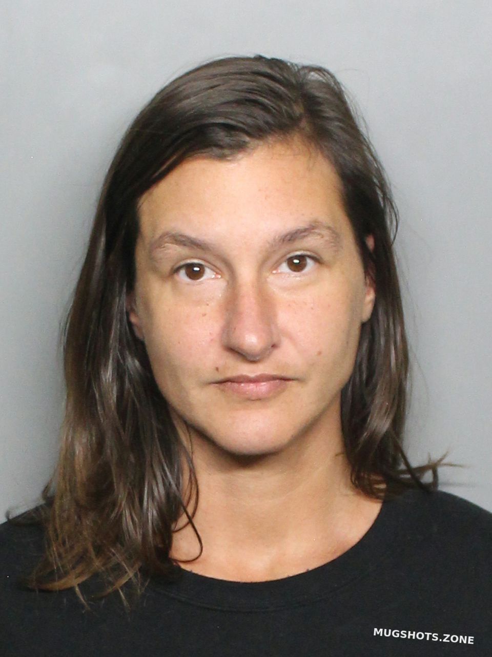 DISHNEAU LINETTE ANNE 03/18/2025 - Charlotte County Mugshots Zone