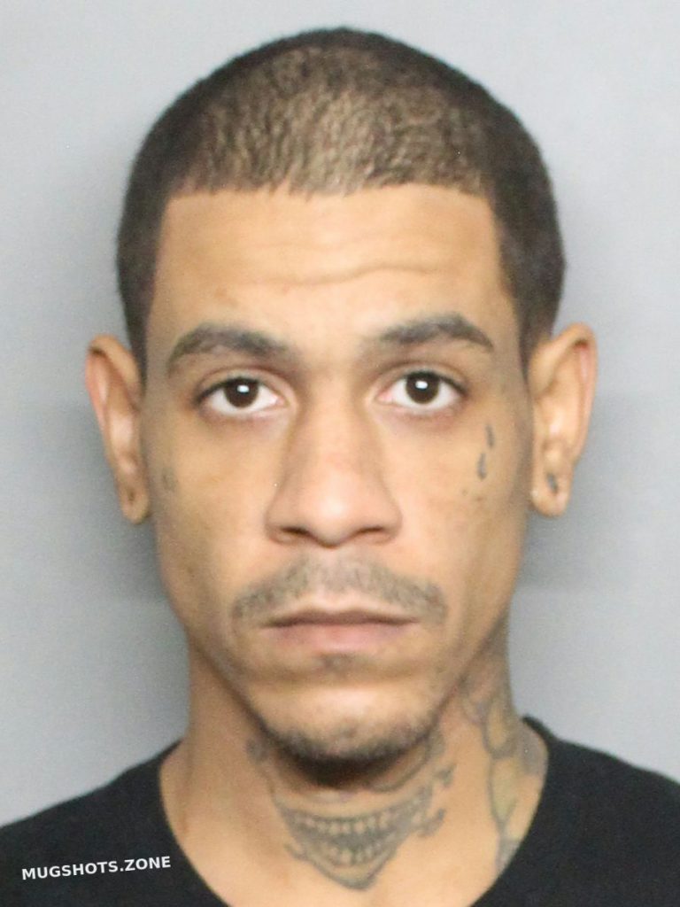 JONES JOSHUA REESE 03/24/2025 - Charlotte County Mugshots Zone