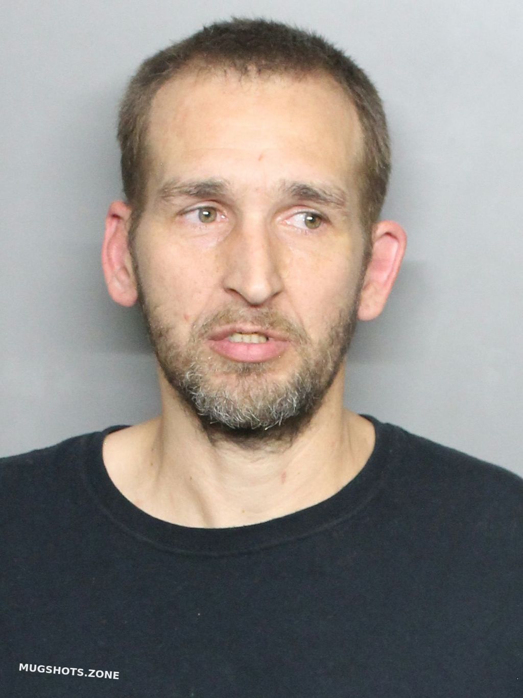 PICKRELL WESLEY JOHN 03/26/2025 - Charlotte County Mugshots Zone