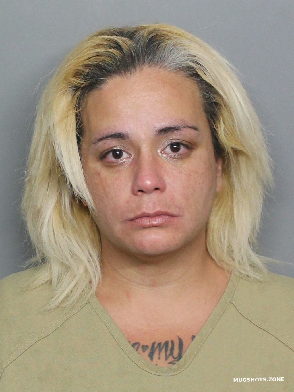 WHEELER MANDY DAE 03/27/2025 - Charlotte County Mugshots Zone