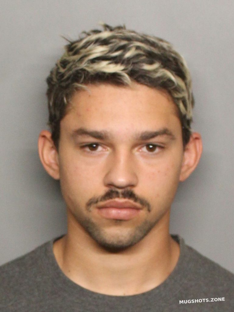 COSTA DOS SANTOS SANTIAGO 03/29/2025 - Charlotte County Mugshots Zone