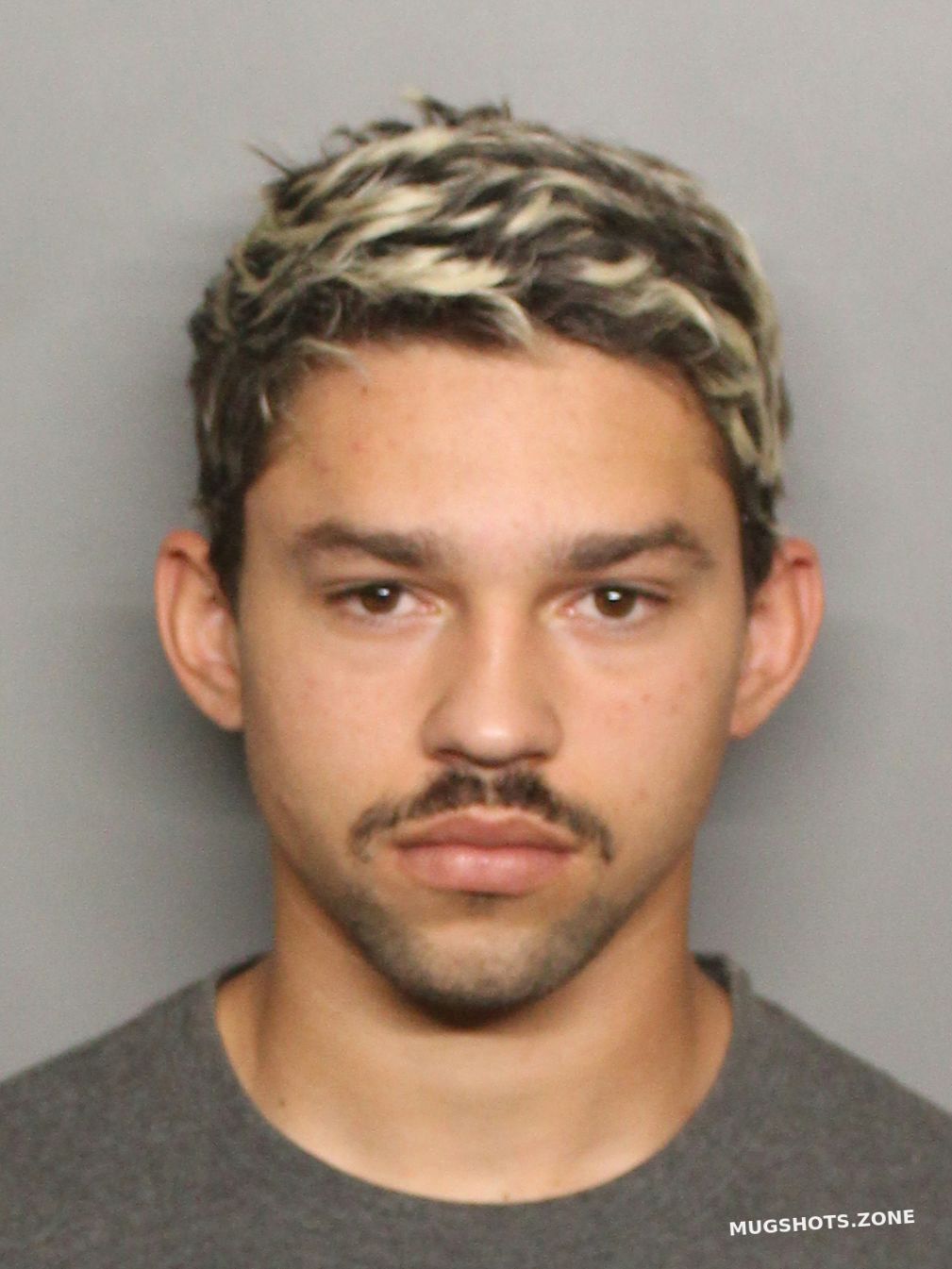 COSTA DOS SANTOS SANTIAGO 03/29/2025 - Charlotte County Mugshots Zone