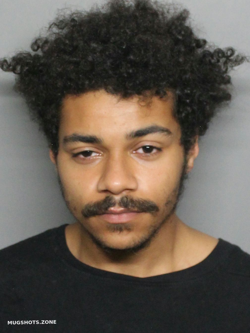 SMITH ISAIAH STERLING 03/30/2025 - Charlotte County Mugshots Zone