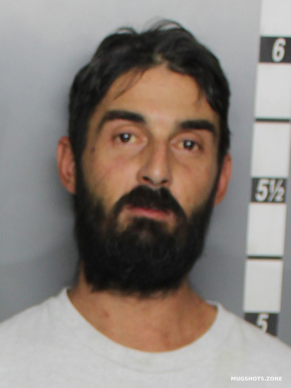 BUSCHER WILLIAM MATTHEW 04/19/2025 - Charlotte County Mugshots Zone