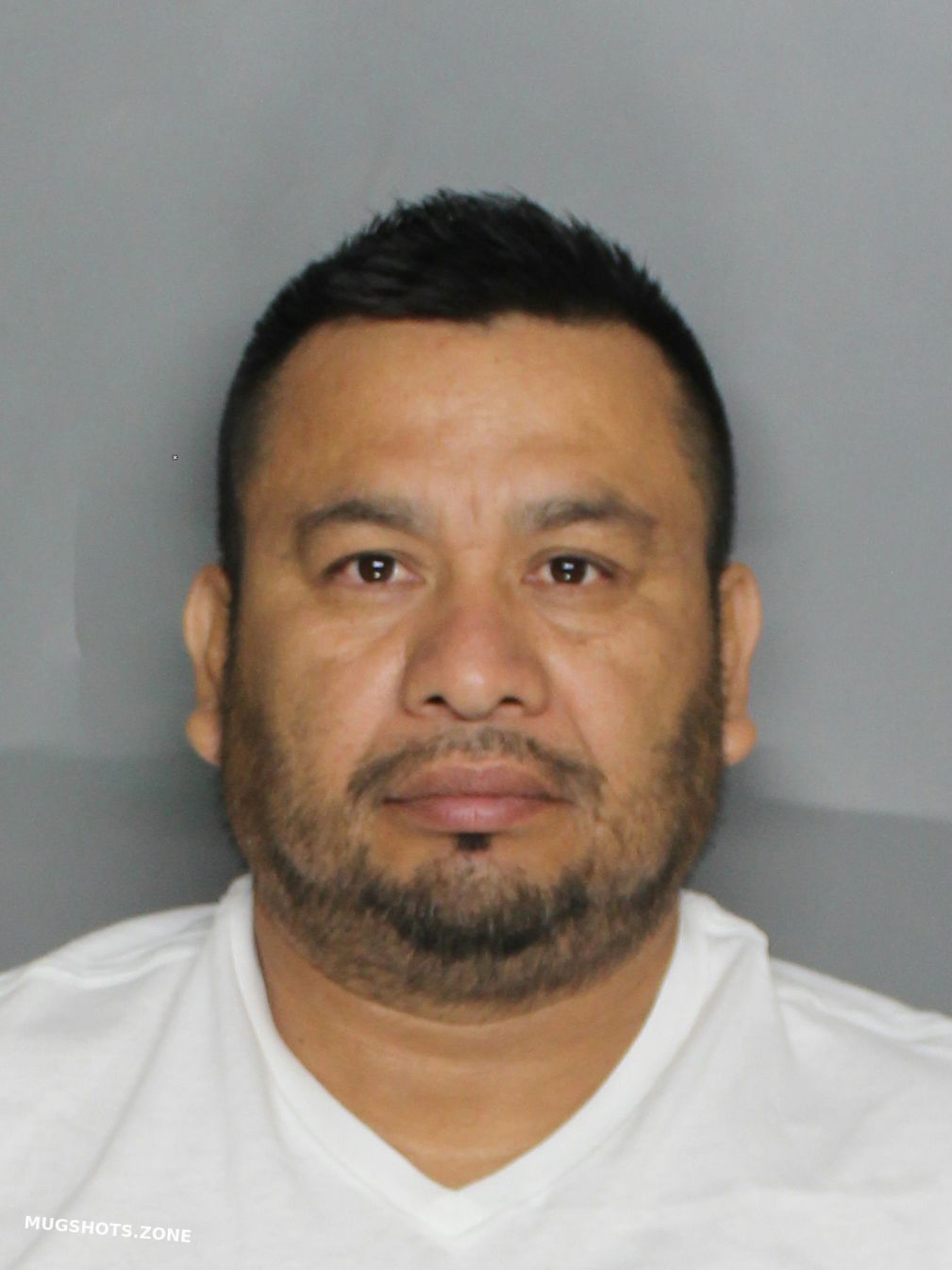 CAMERAS DOMINGES GABRIEL 04/19/2025 - Charlotte County Mugshots Zone