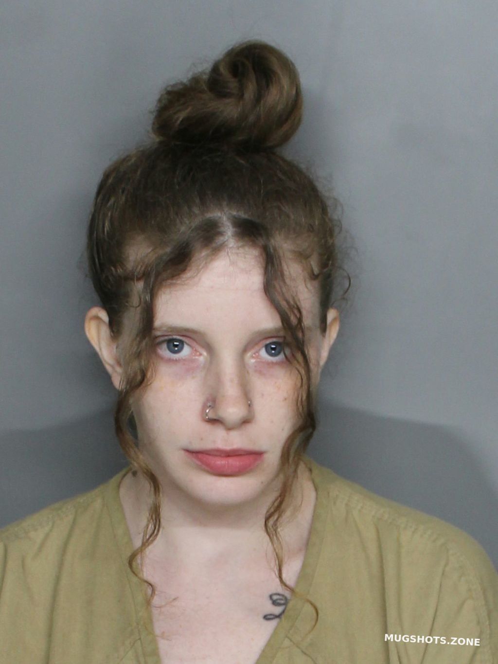 SAEMAN MADISON LEE 04/23/2025 - Charlotte County Mugshots Zone