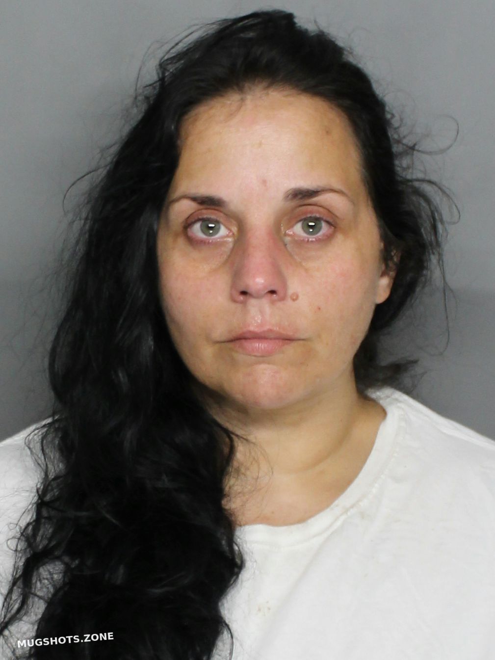 SNYDER JENNIFER ELIZABETH 04/24/2025 - Charlotte County Mugshots Zone