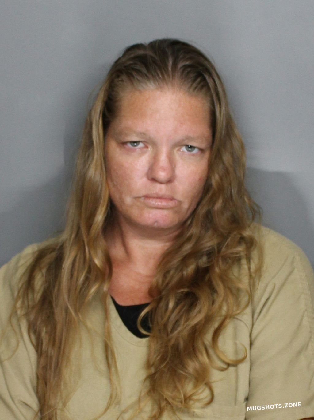 ANSTETT BRANDIE NICHOLLE 05/08/2025 - Charlotte County Mugshots Zone