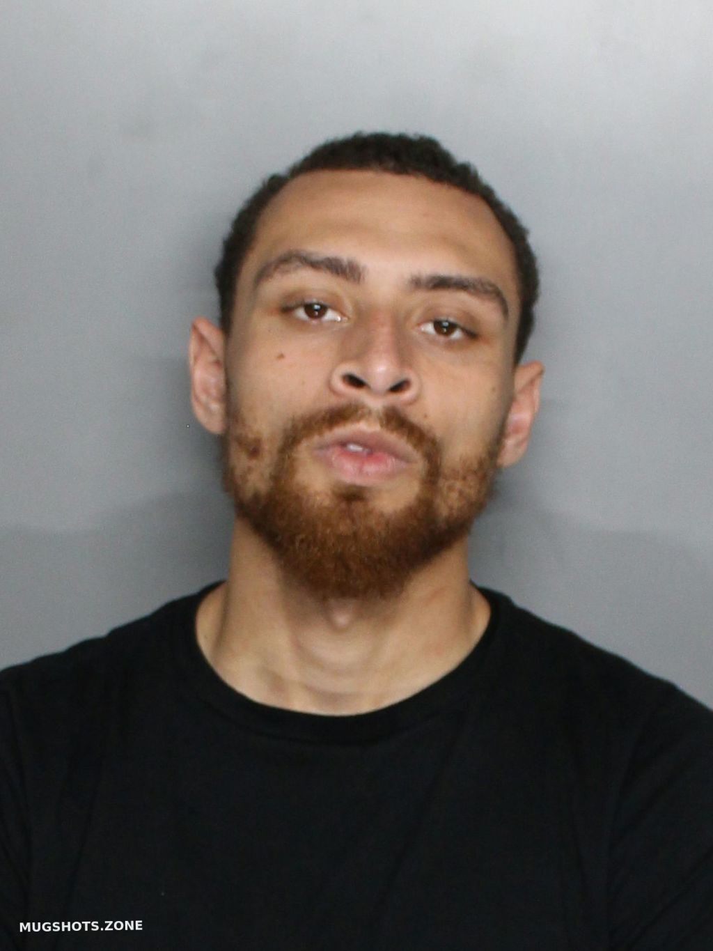 MORRISON DAVON JEROME 05/17/2025 - Charlotte County Mugshots Zone